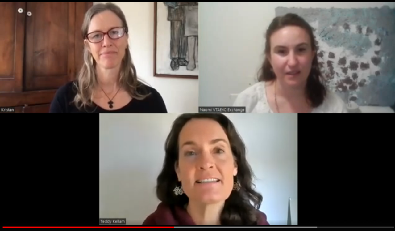 What is climate anxiety? A post on Our Planet x Young Children by ...