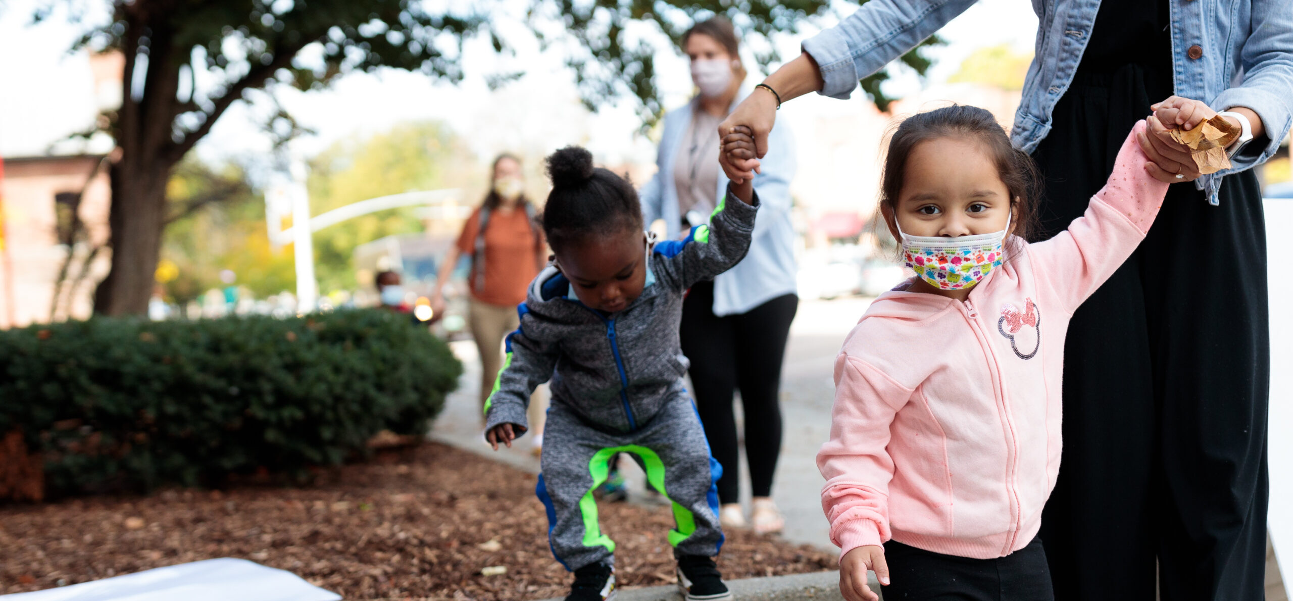 ECE Profession FAQs - Advancing ECE As A Profession