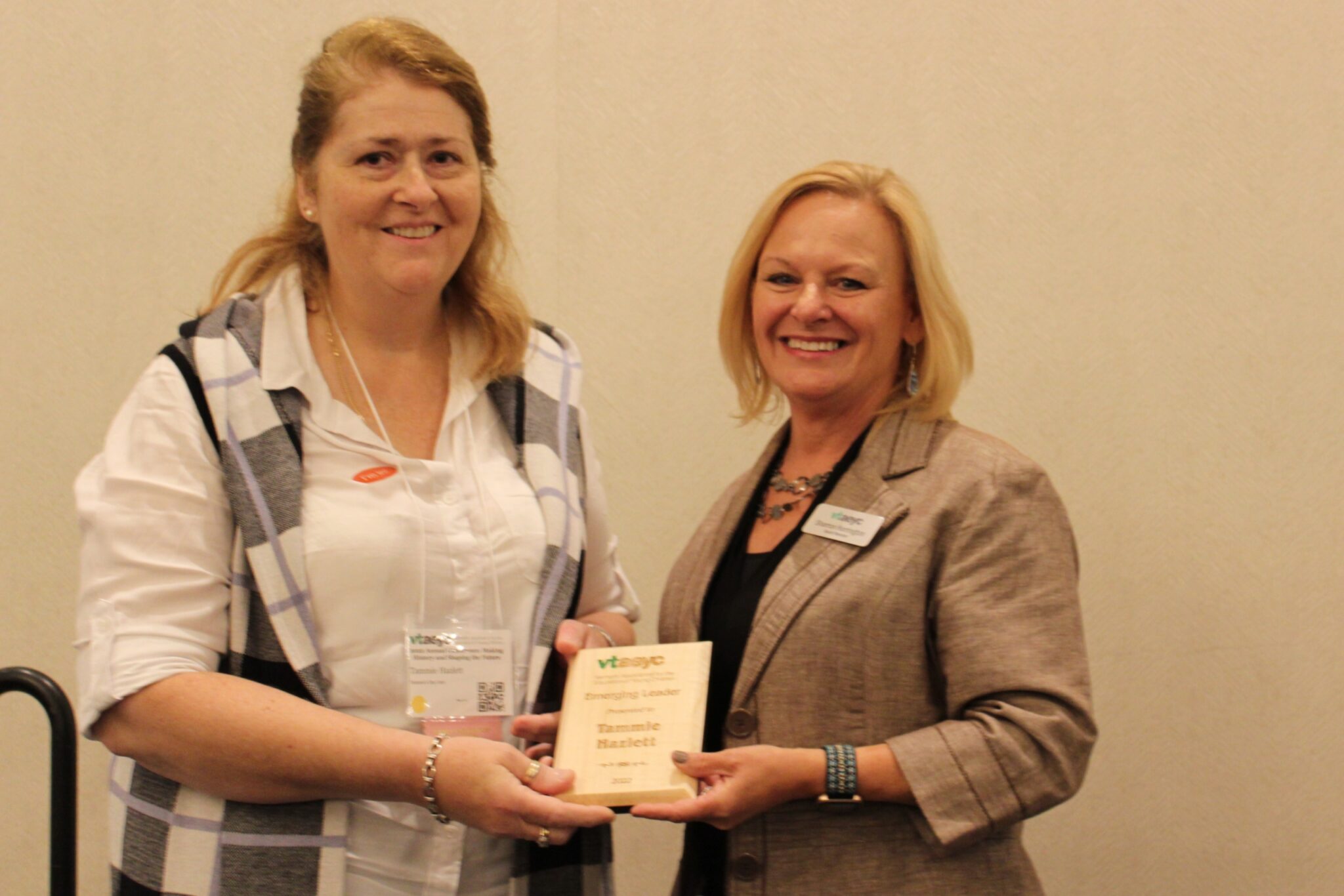 Annual Awards - VTAEYC